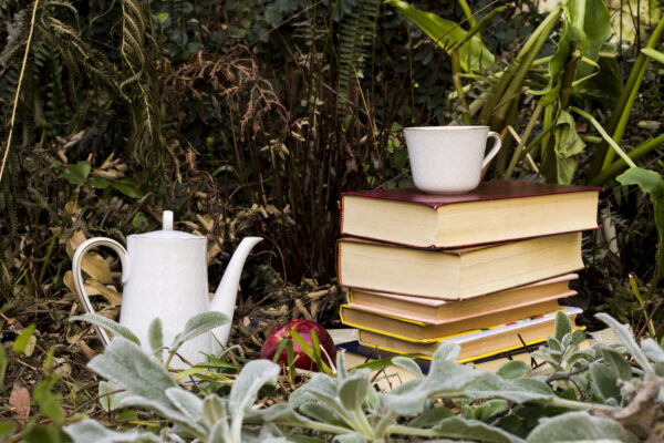10 Best Books Under 300 Pages to Finish Quickly - SAFFRON SPEAKS